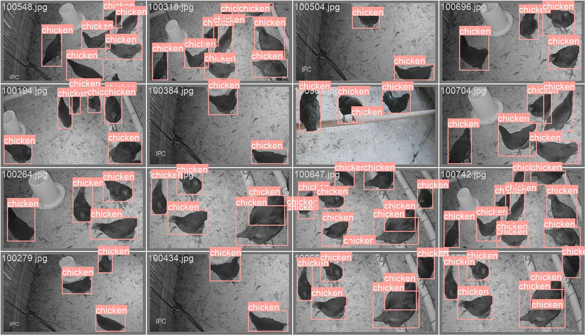 【yolov5目标检测】使用yolov5训练自己的训练集_yolov5n.pt-CSDN博客