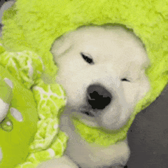 嵌入式STM32深入之RTOS编程_stm32 rtos-CSDN博客