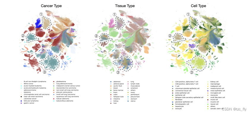 scGPT实验解读-CSDN博客