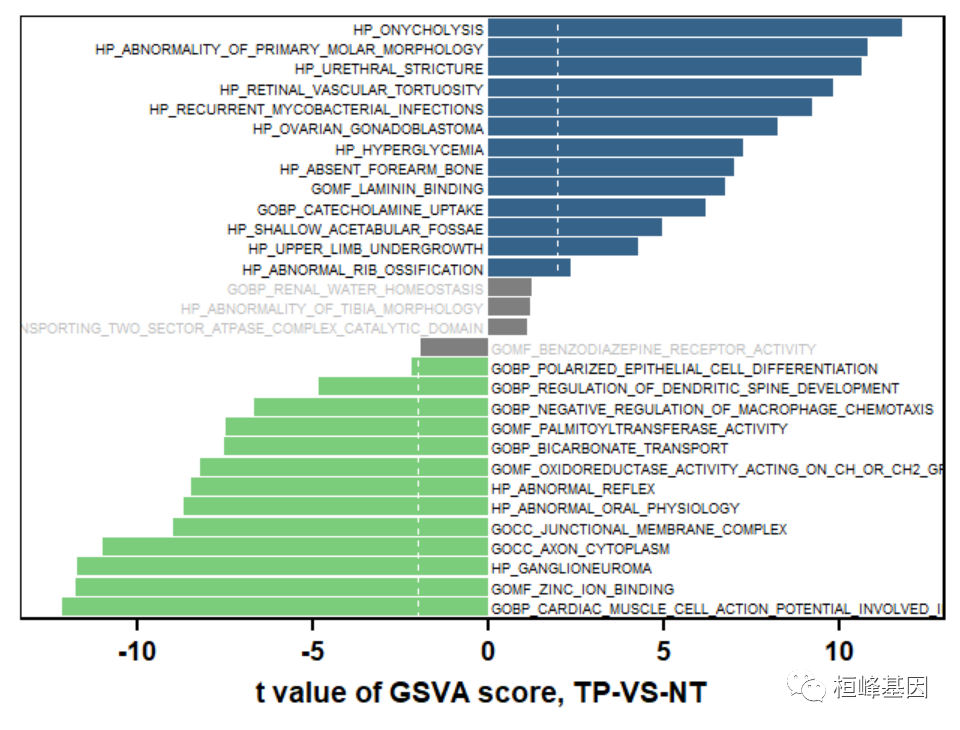 RNA 18. SCI 文章中基因集变异分析 GSVA_gsva分析-CSDN博客