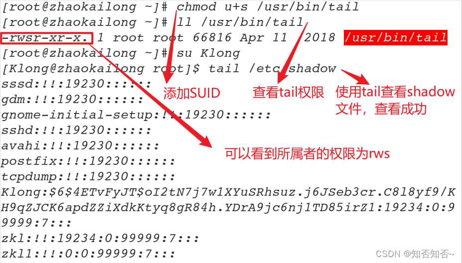 设置SUID,SGID以及SBIT并进行测试_linux sbit-CSDN博客