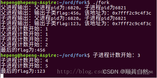 Linux C++基础--fork()_linux c++ fork-CSDN博客