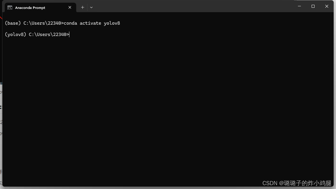 【YOLOv8学习记录】——完成yolov8部署及初次运行_yolov8 git-CSDN博客