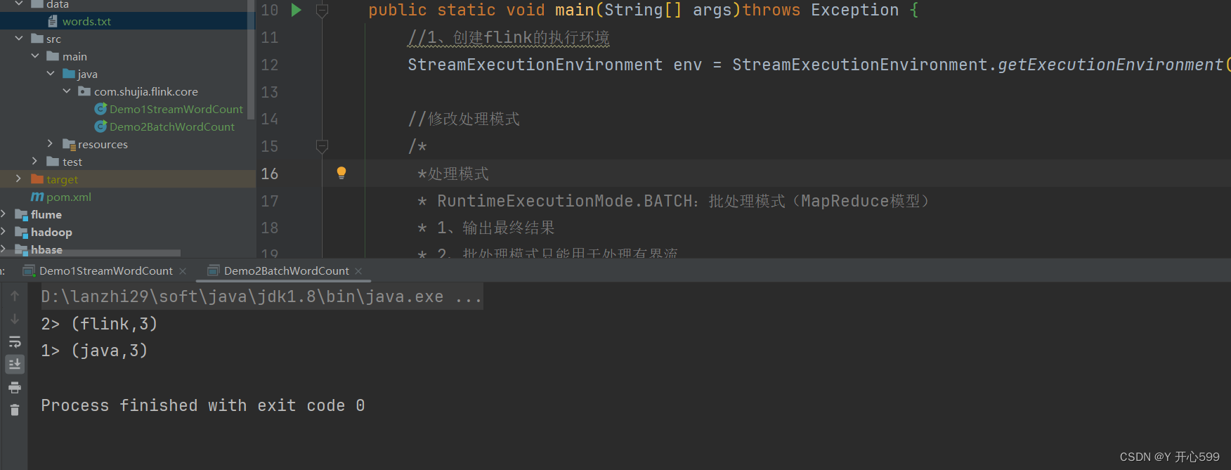 Fiink的简单学习一-CSDN博客