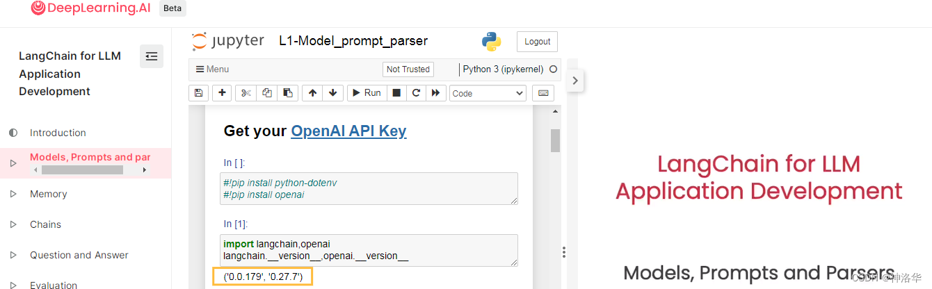 LangChain：LLM应用程序开发（上）——Models、Prompt、Parsers、Memory、Chains_langchain models-CSDN博客