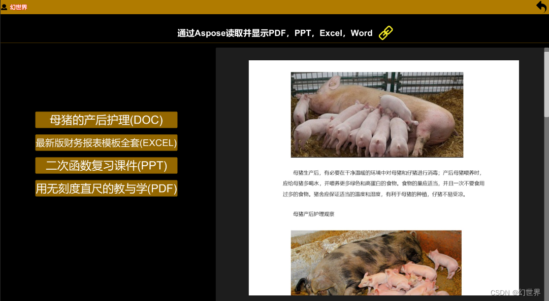 【工具插件类教学】Unity通过Aspose读取并显示打开PDF，PPT，Excel，Word_Unity实战100例-CSDN专栏