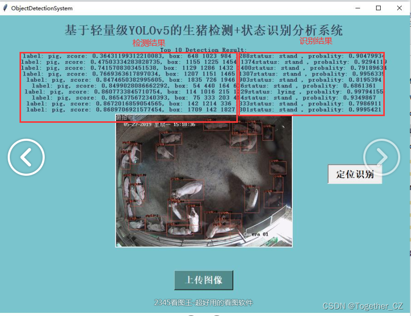 python基于轻量级YOLOv5的生猪检测+状态识别分析系统_yolo5识别猪脸-CSDN博客