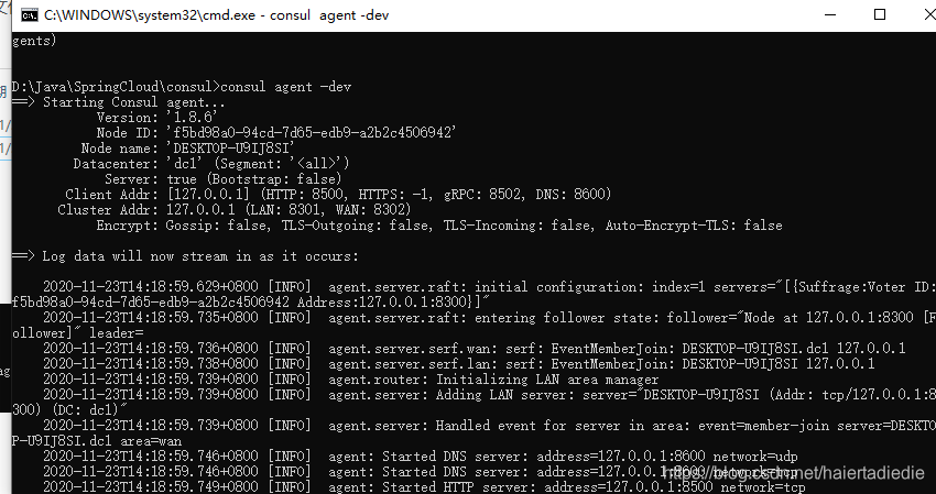 Spring Cloud Hoxton.SR9版本（三）Consul_hoxton.sr9 无法下载-CSDN博客