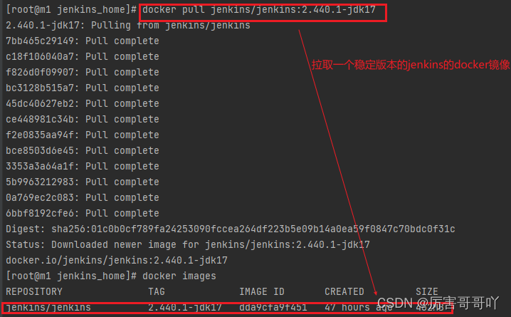 （十八）devops持续集成开发——使用docker安装部署jenkins服务_docker 部署jenkins-CSDN博客