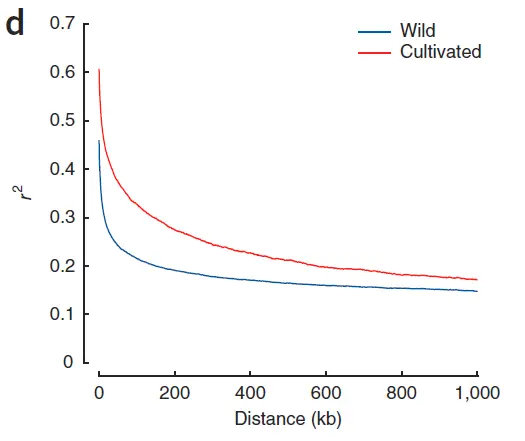 LD衰减图怎么理解-CSDN博客