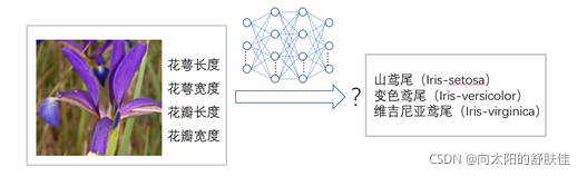老白ai算法入门：手写四层bp神经网络解决iris分类问题（python）uci数据集的iris数据 Csdn博客