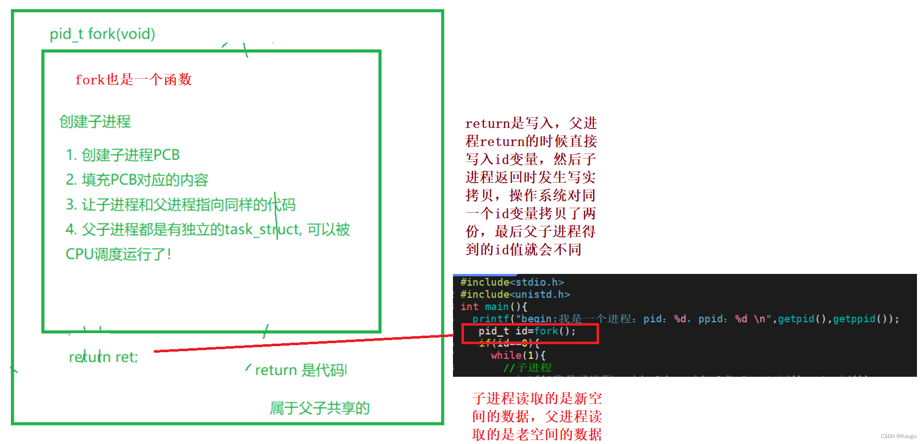 【Linux】fork函数的基础知识_fork返回值-CSDN博客