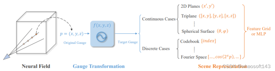Neural-Gauge-Fields-CSDN博客