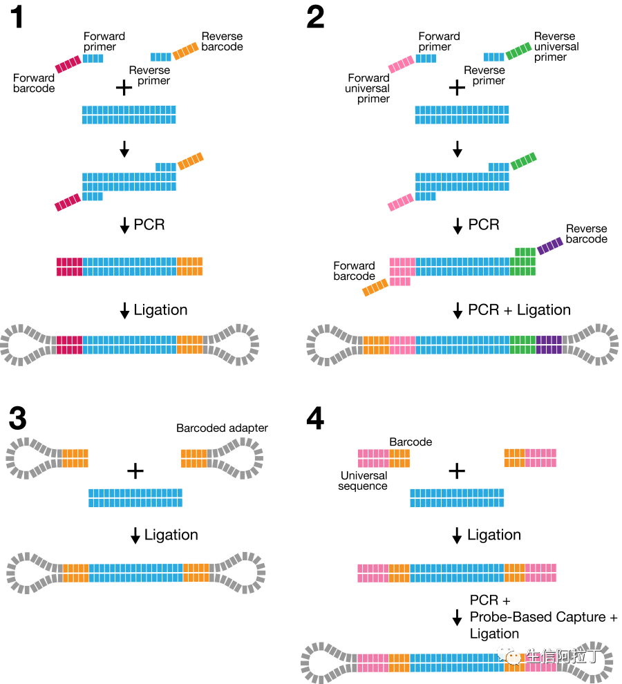 如何拆分pacbio的数据_pacbio测序数据去除接头-CSDN博客
