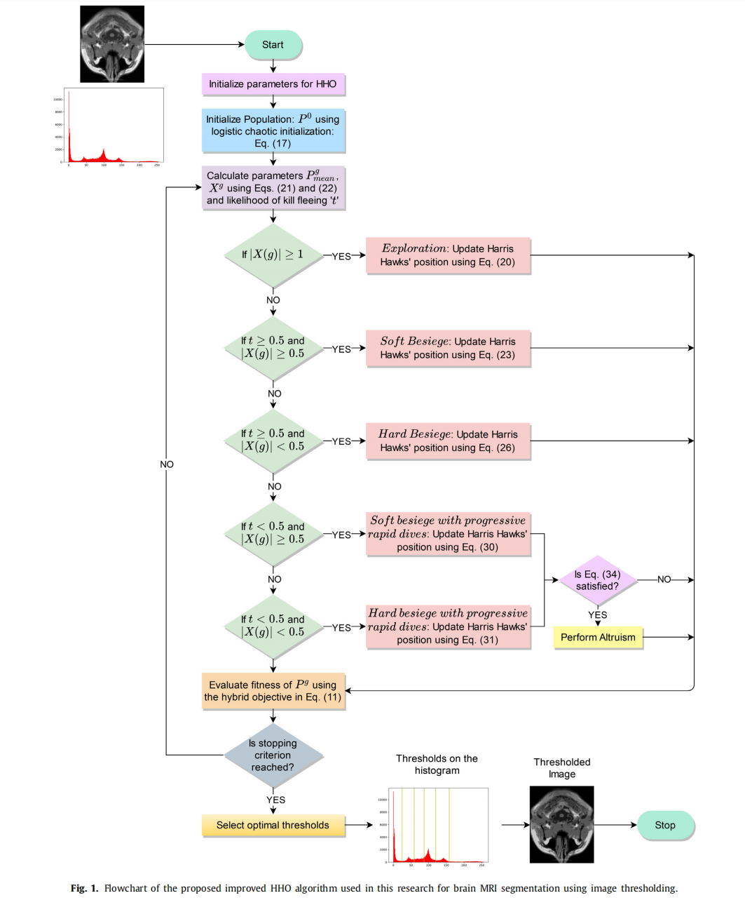 利用改进哈里斯鹰优化算法对脑部MRI图像进行分割研究（Matlab代码实现）_怎么用harvard dataset这个数据库里面的mri和pet图像-CSDN博客