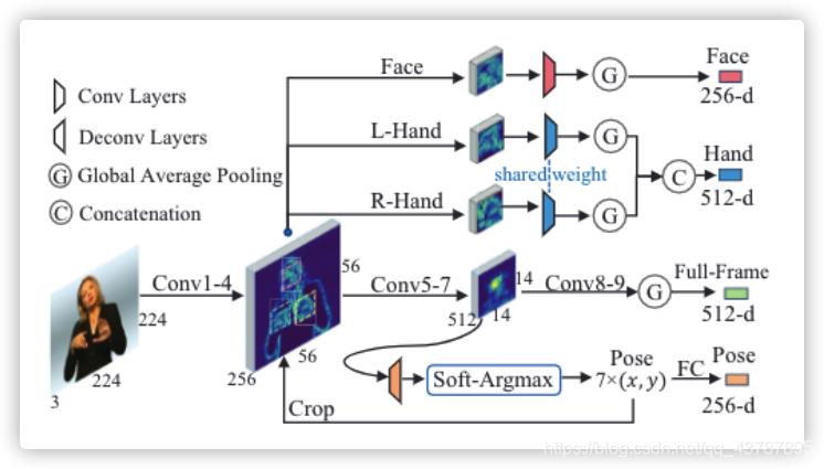 Spatial-Temporal Multi-Cue Network for Continuous Sign Language Recognition_distilling cross ...