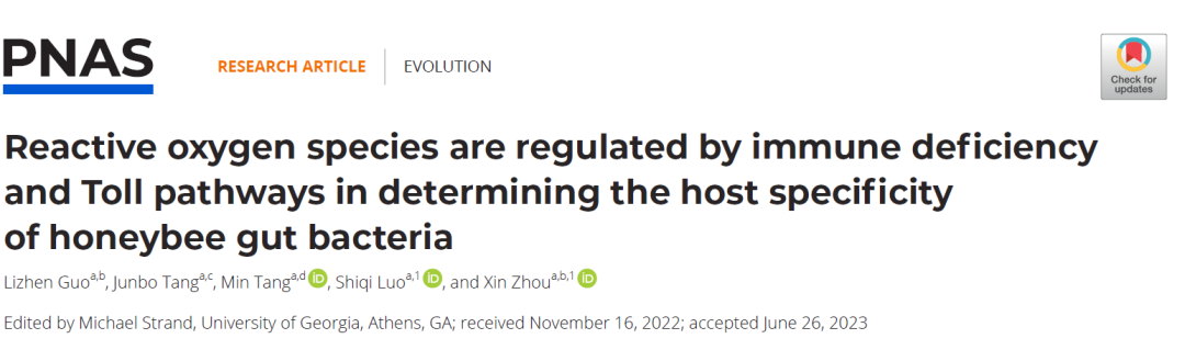 PNAS | 中国农大周欣团队发现蜜蜂通过调用免疫系统来维持宿主特异的肠道菌-CSDN博客