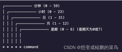 crontab使用_corntab 的使用-CSDN博客
