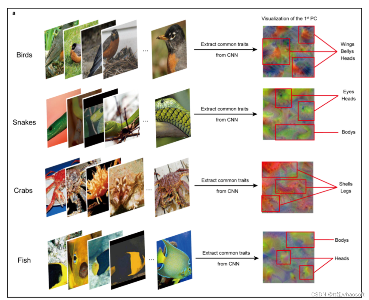 S-XAI：揭秘CNN的语义学习机制-CSDN博客