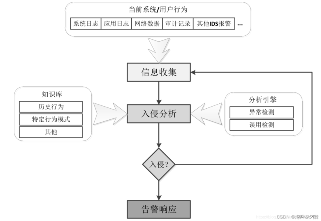 入侵检测系统(IDS)-CSDN博客
