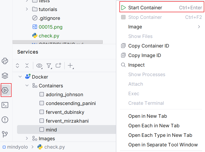 Docker配置MindSpore-GPU环境_mindspore docker-CSDN博客
