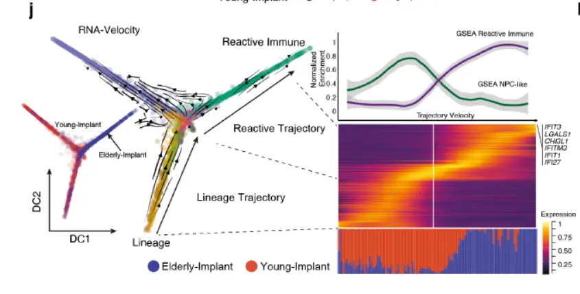 10X空间转录组CNV和速率分析的空间图谱_空间转录组速率分析-CSDN博客