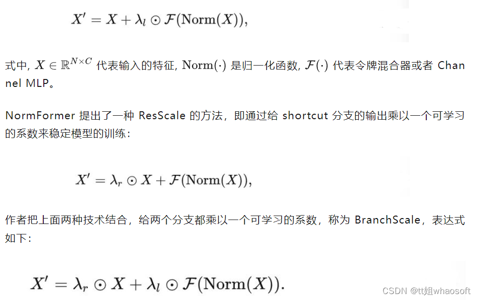 MetaFormer-3_metaformer baselines for vision-CSDN博客