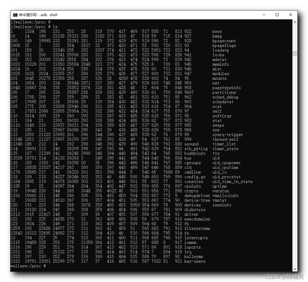 【Android 逆向】Android 系统文件分析 ( /proc/pid 进程号对应进程目录 | oom_adj | maps | smaps | mem | task | environ ...