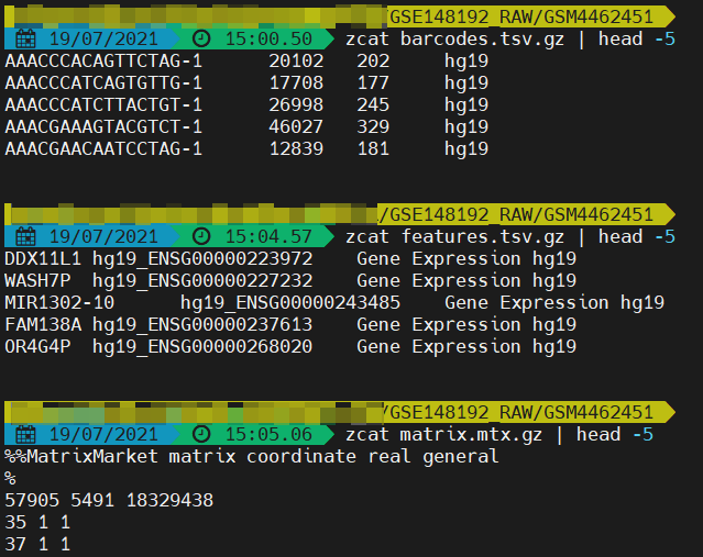 seurat读取文件的格式 10x文件内容 mtx格式scanpy.read_10x_mtx scanpy读取10x格式_10x单细胞mtx文件中的基因列和细胞列互换了,如何换回来-CSDN博客