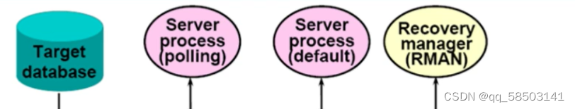oralce数据库的RMAN命令_oracle rman-CSDN博客