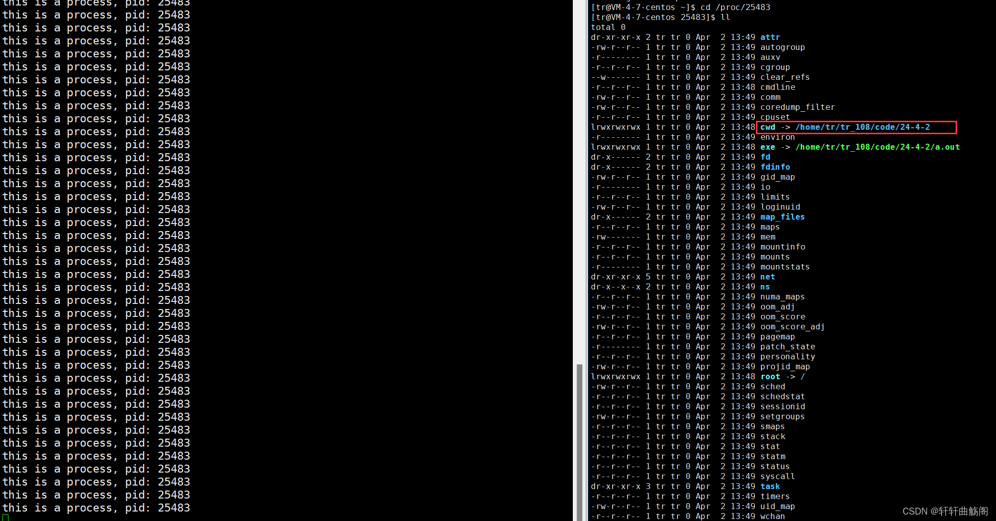 Linux基础——文件-CSDN博客