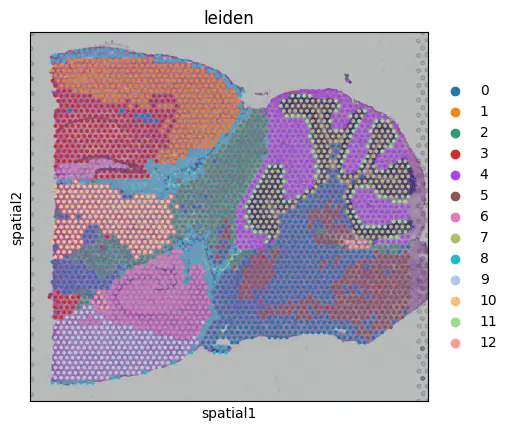 通过空间行为（optimal transport）推断空间细胞间通讯信号方向(COMMOT)_screening cell–cell communication in spatial ...