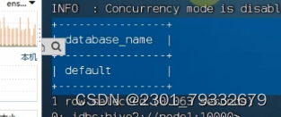 配置hive 的beeline_hive4.0启动直接进入beeline吗-CSDN博客