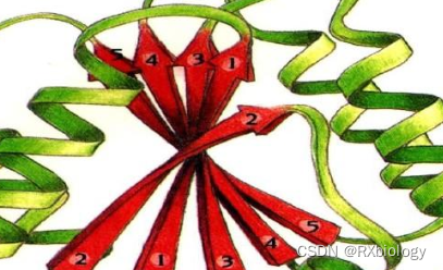 Protein A/PE，荧光素PE标记蛋白A，Cy3 Conjugated Protein A_pe荧光素-CSDN博客