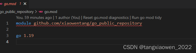 Golang导入github公有库和私有库的包golang怎么引入github上自己的私有项目 Csdn博客
