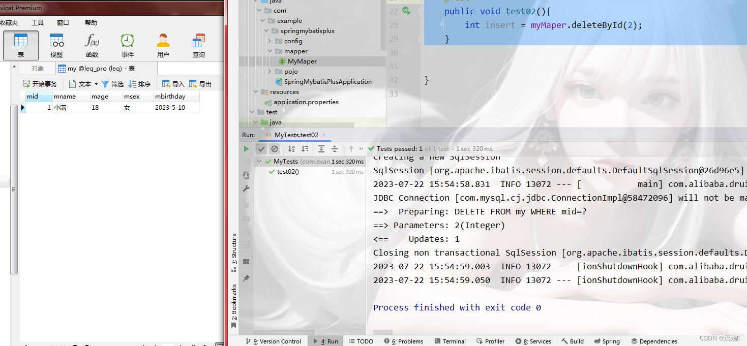在springboot中整合mybatis Plus以及mybatis Puls的基本使用mybatisplus Boot Csdn博客