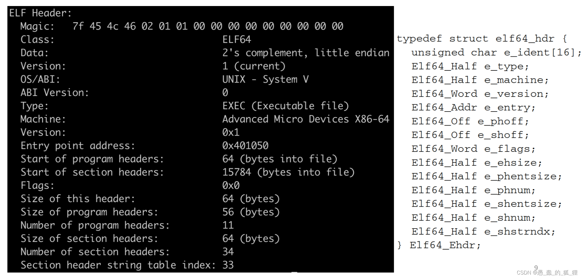 纯手搓C++实现读取ELF文件头信息、段表信息和节表信息_c++ elf-CSDN博客
