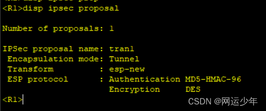 3.2、虚拟专用网络基础之IP sec-CSDN博客