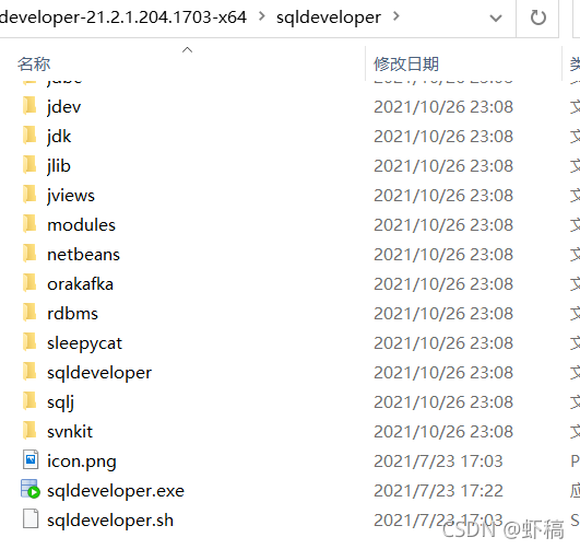 Oracle 数据库安装(19c,SQL Developer,PL/SQL Developer)-CSDN博客