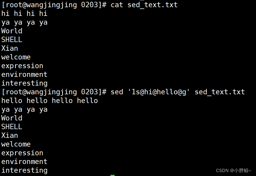 shell sed详解-CSDN博客