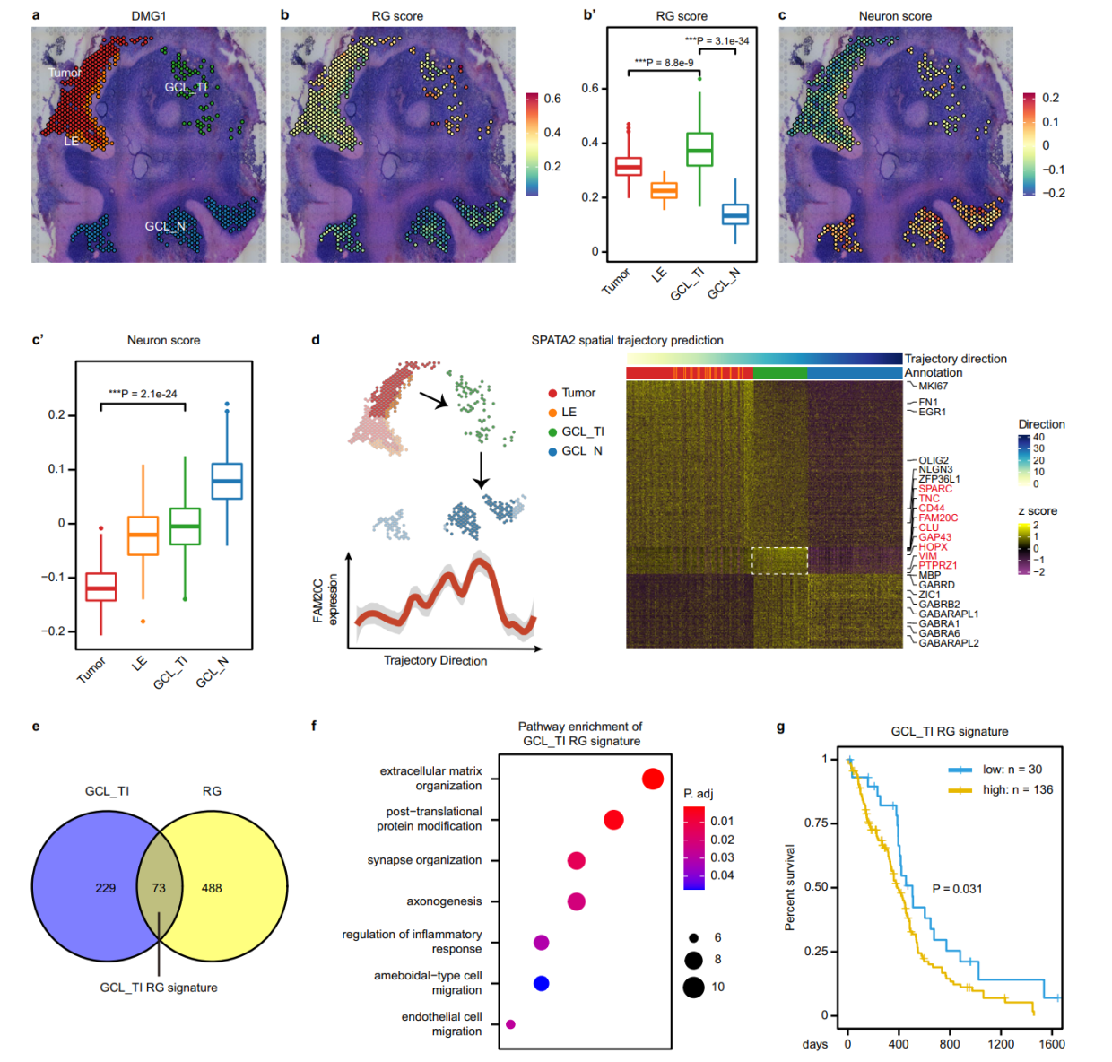 空间转录组的空间位置信息概述_commot-CSDN博客