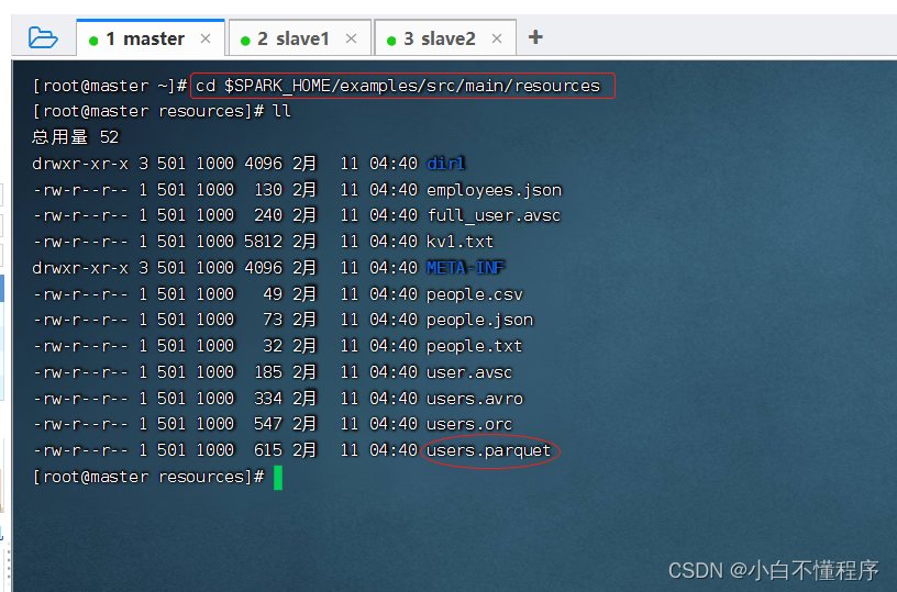 大数据实时处理4.2 Spark SQL数据源 - 基本操作_数据同步 spark sql util-CSDN博客
