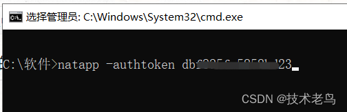 实现内网穿透-netapp_内网穿透netapp-CSDN博客