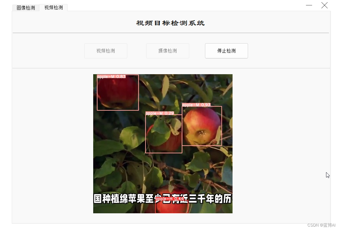基于yolov5的苹果成熟度检测系统，支持图像、视频和摄像实时检测【pytorch框架、python】yolov5可以同时标注成熟度和苹果吗 Csdn博客