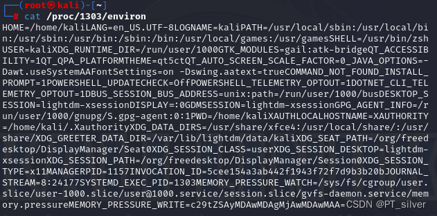Linux的/proc/self/学习_flag常存放在proc里-CSDN博客
