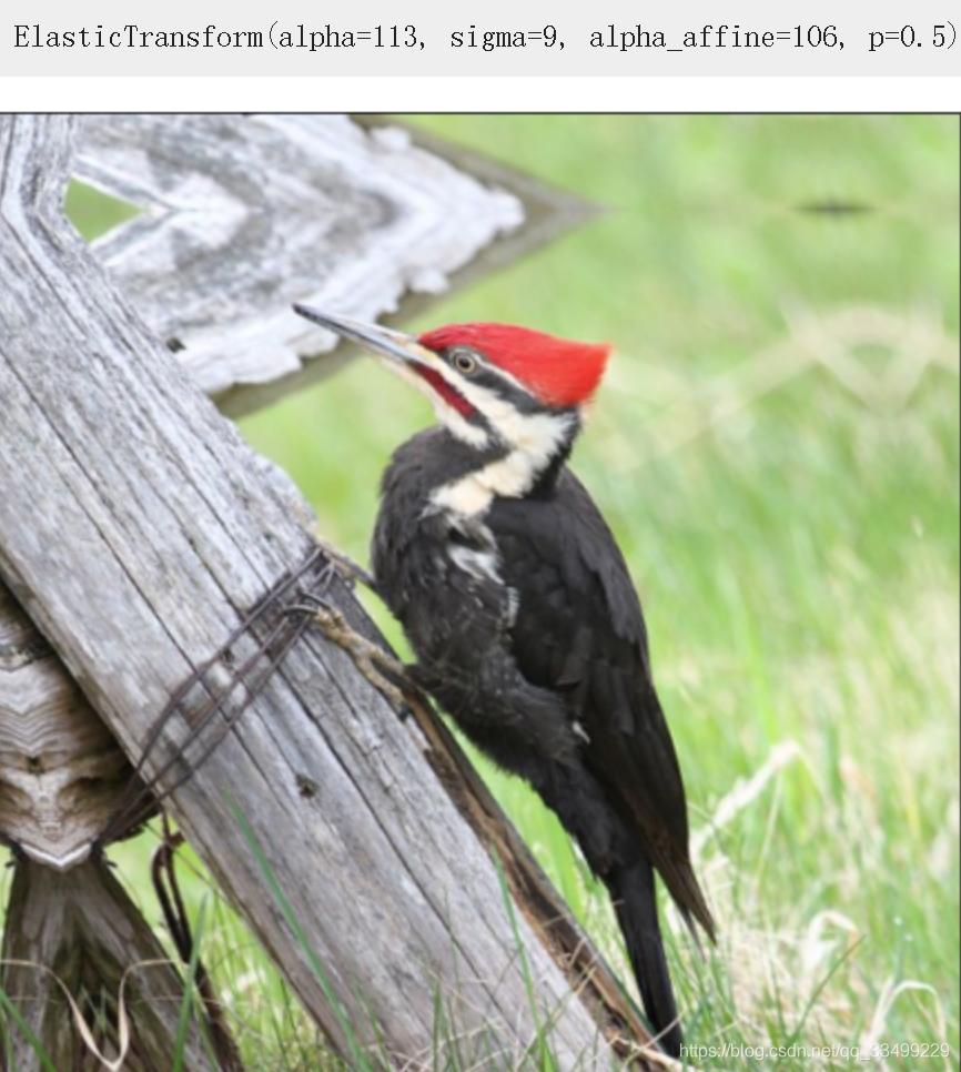 Albumentation使用指南-CSDN博客