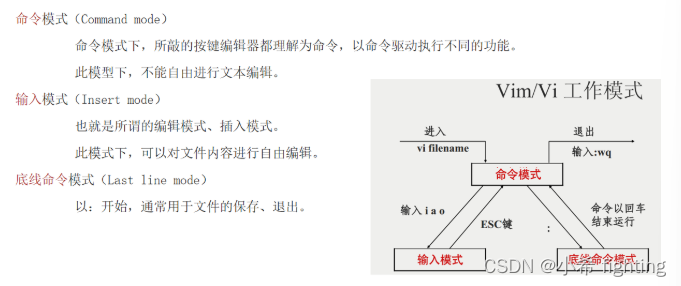 Vi/Vim编辑器全面指南：从基础到高级命令-CSDN博客