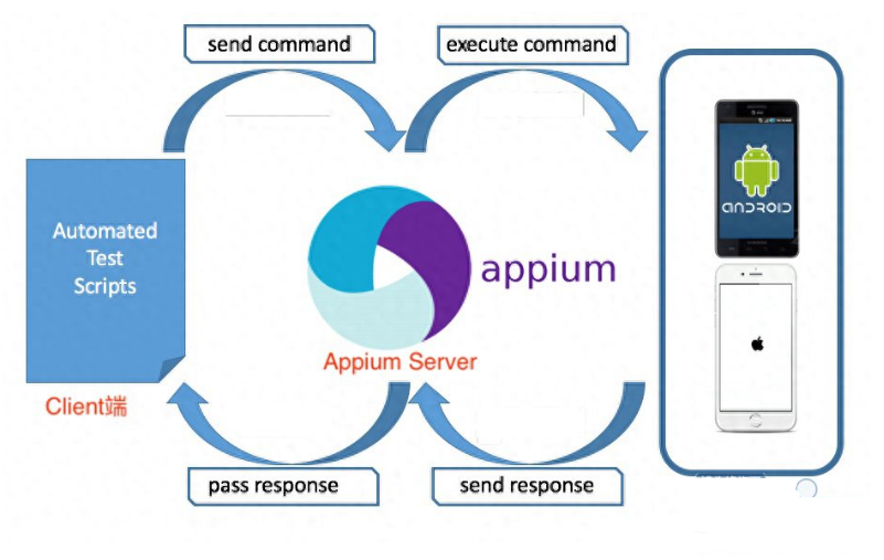 App自动化之Appium工作原理_appium服务器作为中介,接收来自客户端的命令,并将其转换为相应的操作,然后发送给-CSDN博客