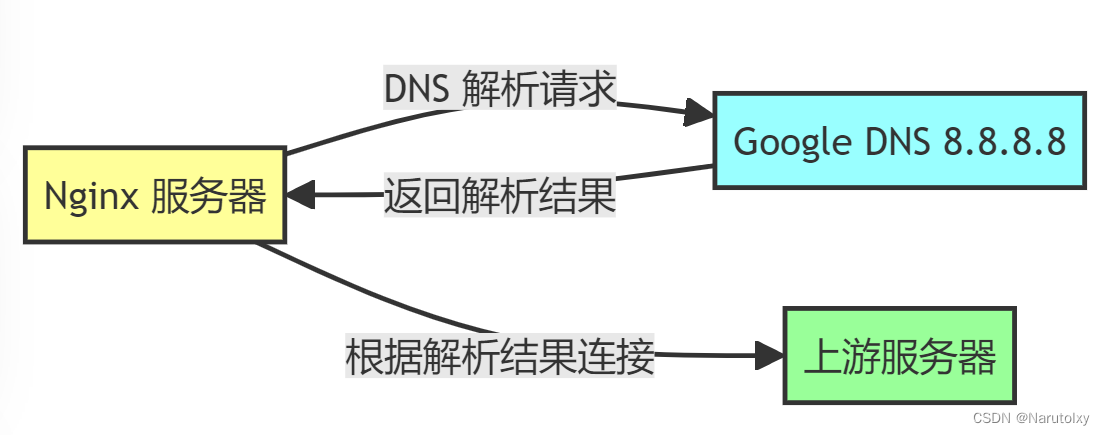 解决 Nginx 反向代理中的 DNS 解析问题：从挑战到突破20231228_nginx 反向代理 ,必须公网dns解析-CSDN博客